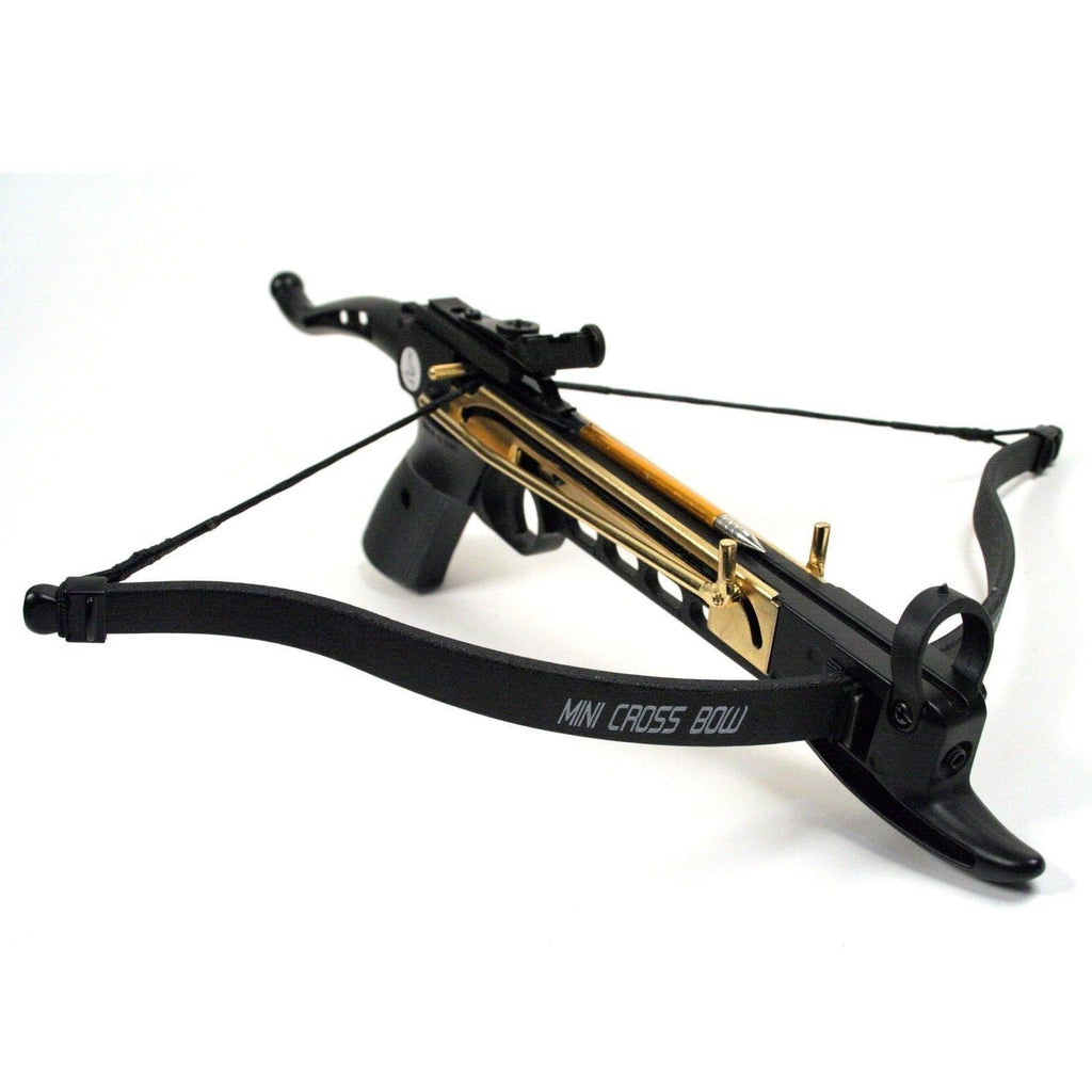 80 lb Metal Self Cocking Pistol Crossbow W/ Arrows Bolts Hunting Arche ...